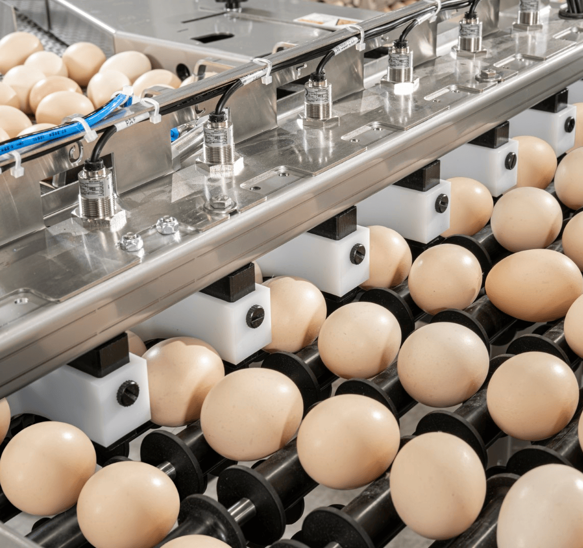 Ovoset Comfort - Vencomatic Group